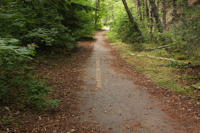 Linda's Lens: The Barlow Trail - A Hike Back In Time