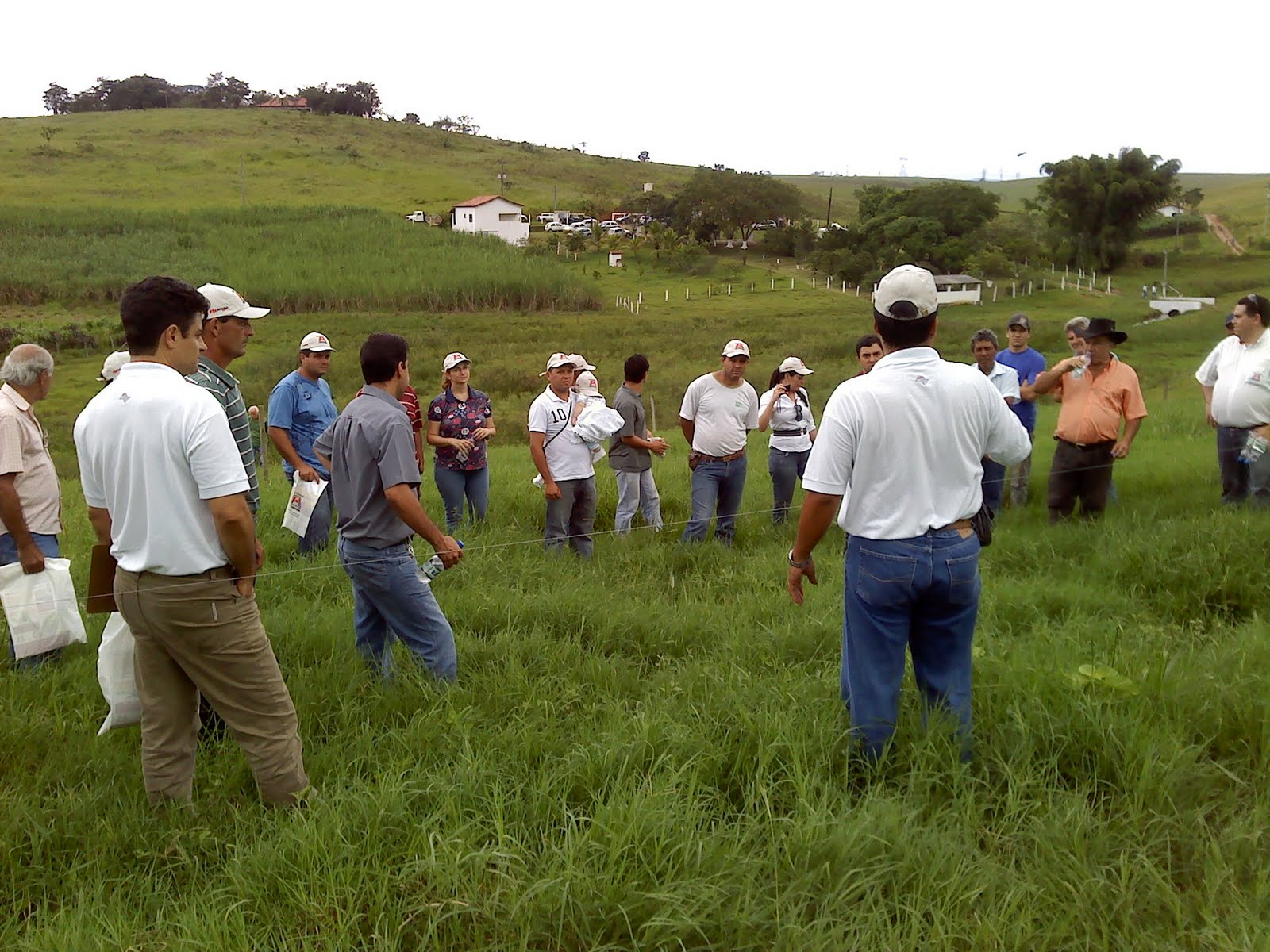 CATI Blog | Agricultura Familiar | Assistência Técnica e Extensão Rural ...