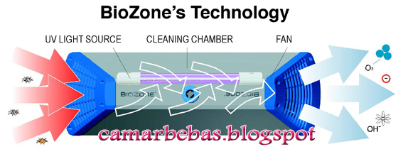 camarbebas: BIOzone