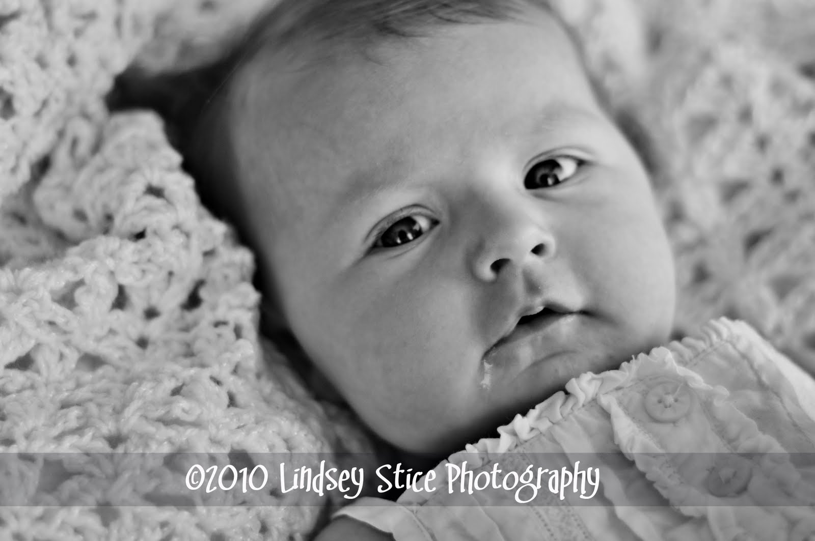 Lindsey Stice Photography: Scalf Family Introduces Miss Liddy