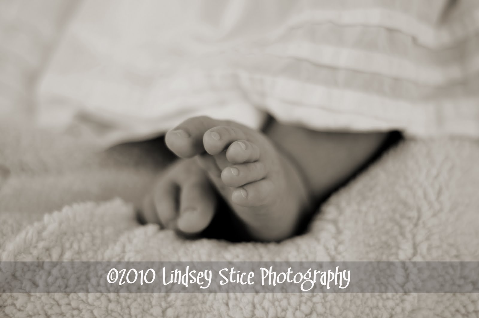 Lindsey Stice Photography: Scalf Family Introduces Miss Liddy
