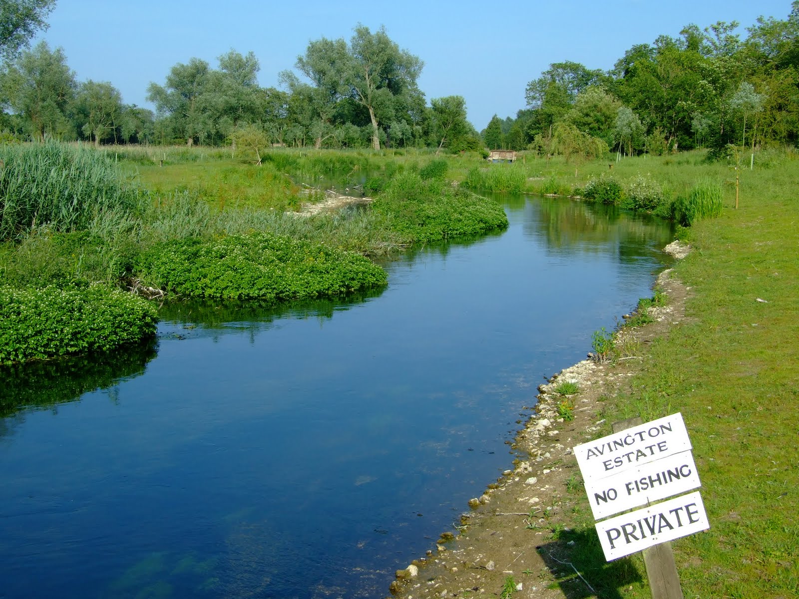 Canoeing and Kayaking on The River Kennet: River Kennet restoration ...