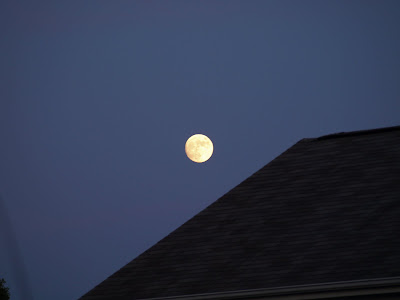 The View From Here, Columbus, Ohio Daily Photo: Full Moon Columbus