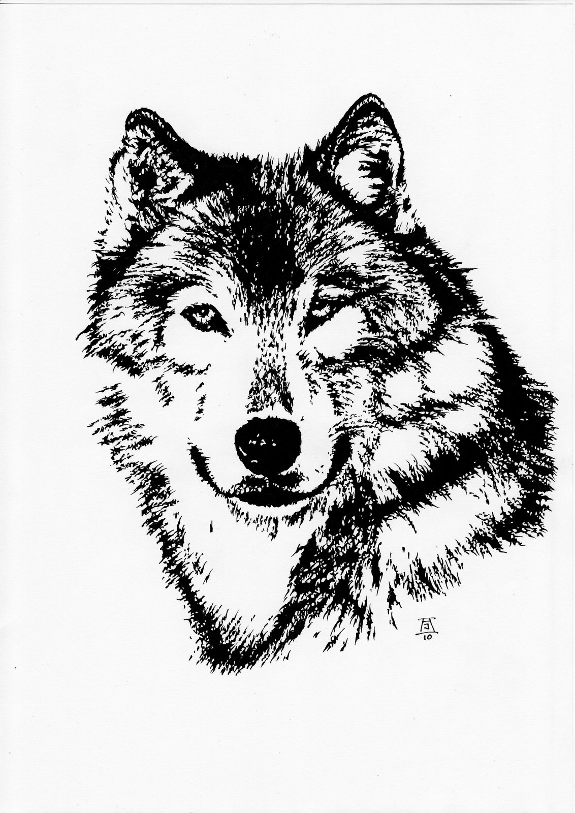 Alex's magical world of artsy blogging: woof