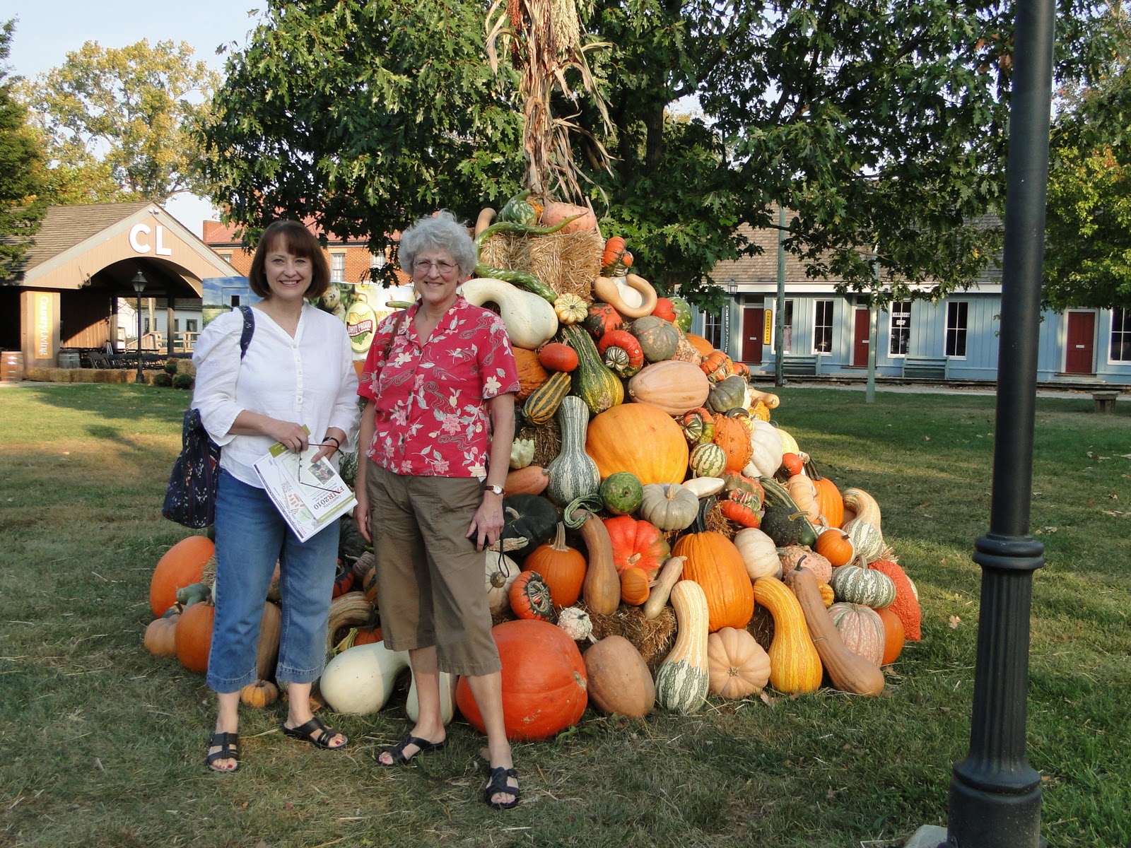 Heartspun Quilts ~ Pam Buda: September 2010