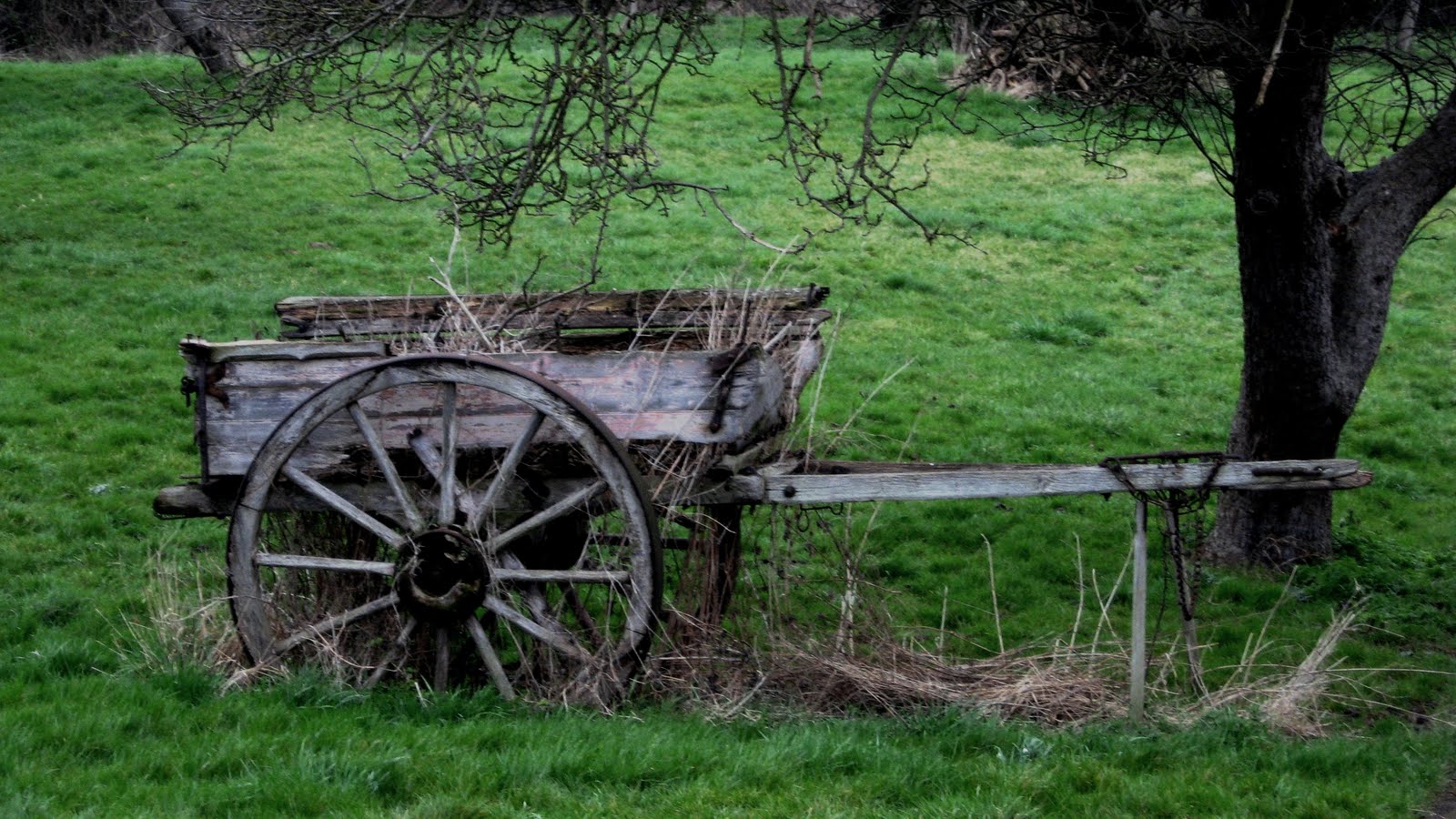 Don’t Be Upsetting the Apple Cart (RR) - The Post & Email