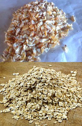 Alaskan Chickens: Chicken Food