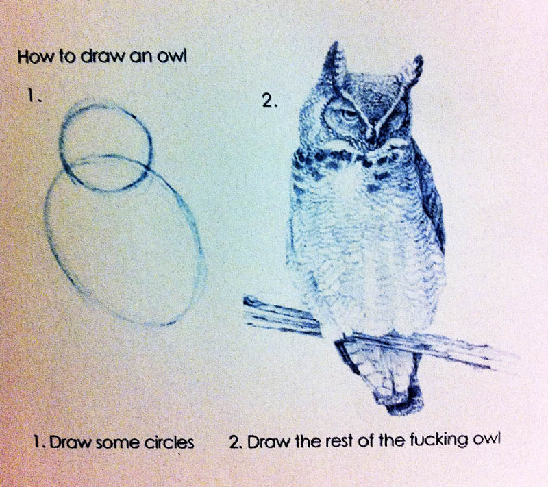 Cómo dibujar un búho en unos pocos pasos