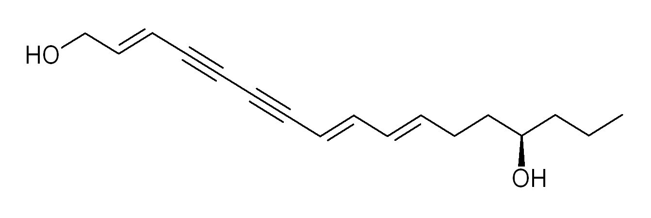 Percursos Químicos: (PQ-CC) Plantas perigosas que podemos encontrar na ...