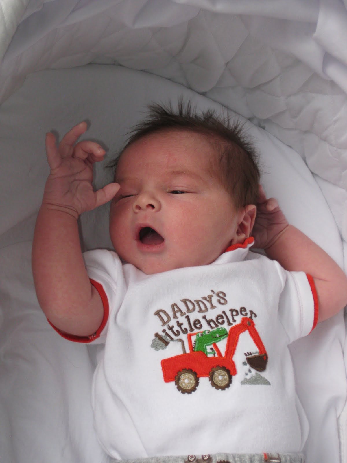 Keeping Up with The Joneses: Two Weeks Old