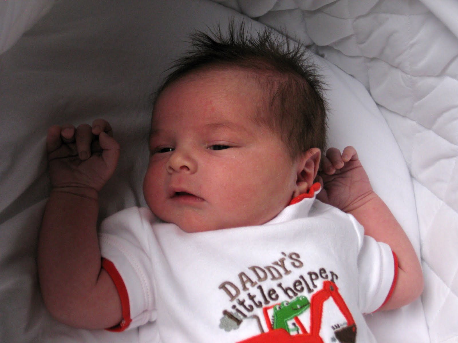 Keeping Up with The Joneses: Two Weeks Old