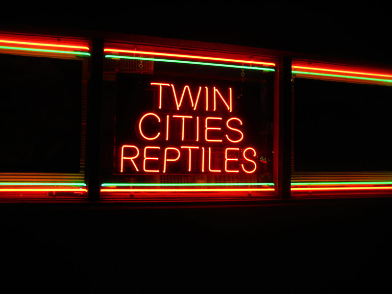 twin city sidewalks: Neon Signs #3