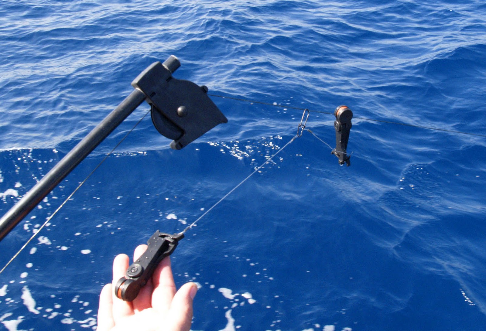 DOBLE PINZA DASHA NAUTICA