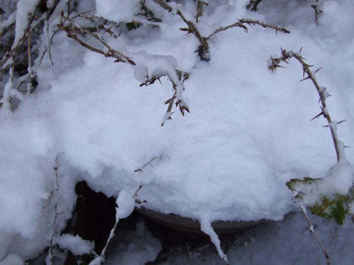 Graham's Potted History: November 2010