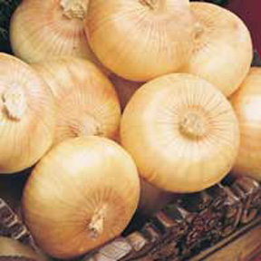 The Lima Peru LDS Temple Mission: When an onion is not an onion or a ...