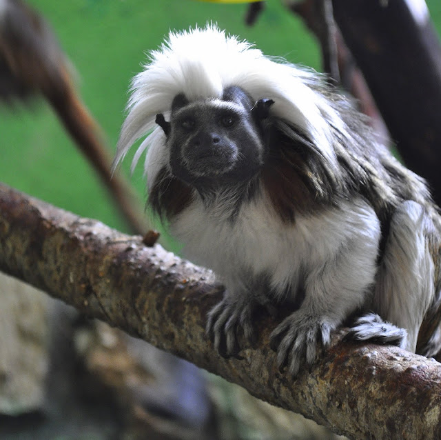 Southern Composition: Just another day in Eureka....