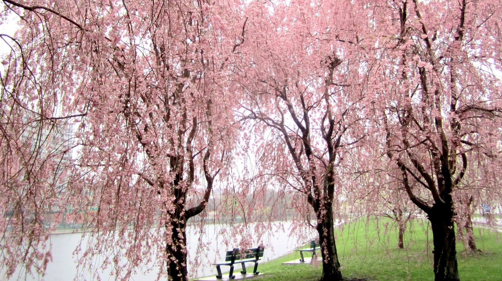 deliciously organized: spring showers