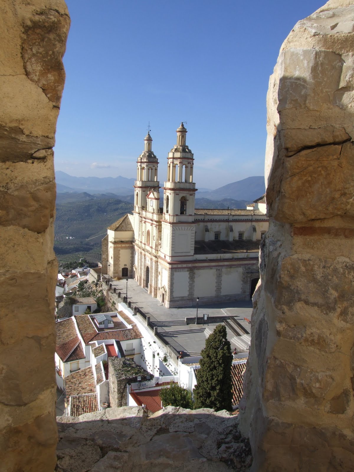 Olvera diary: January 2011