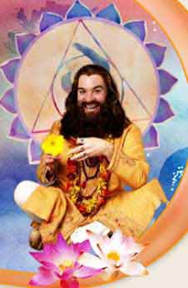 Simply Ignore the Hollywood Movie The Love Guru and the Controversy ...