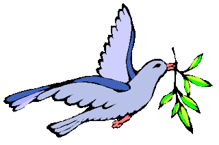 Paloma animada - Imagui