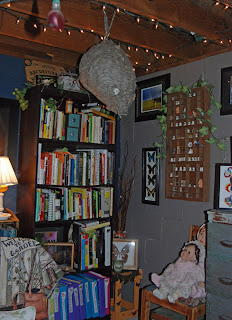 MObugs: My Bug Room/ Library