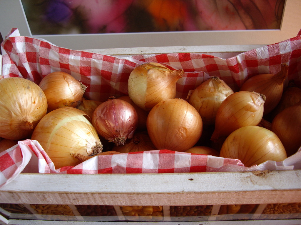 Entre Barrancos (COCINA): octubre 2010