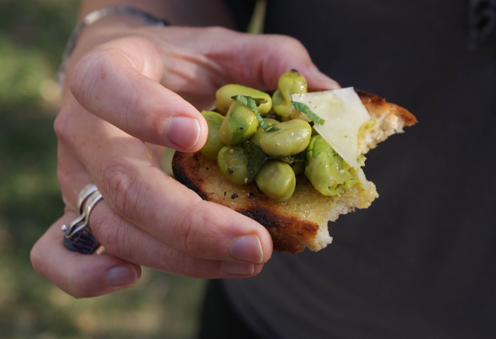Fava Beans and Parmesan on Grilled Bread - Dinner With Julie