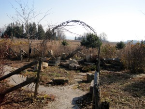 Gardens at Waters East: Pictures of "barebones" after November Trimming