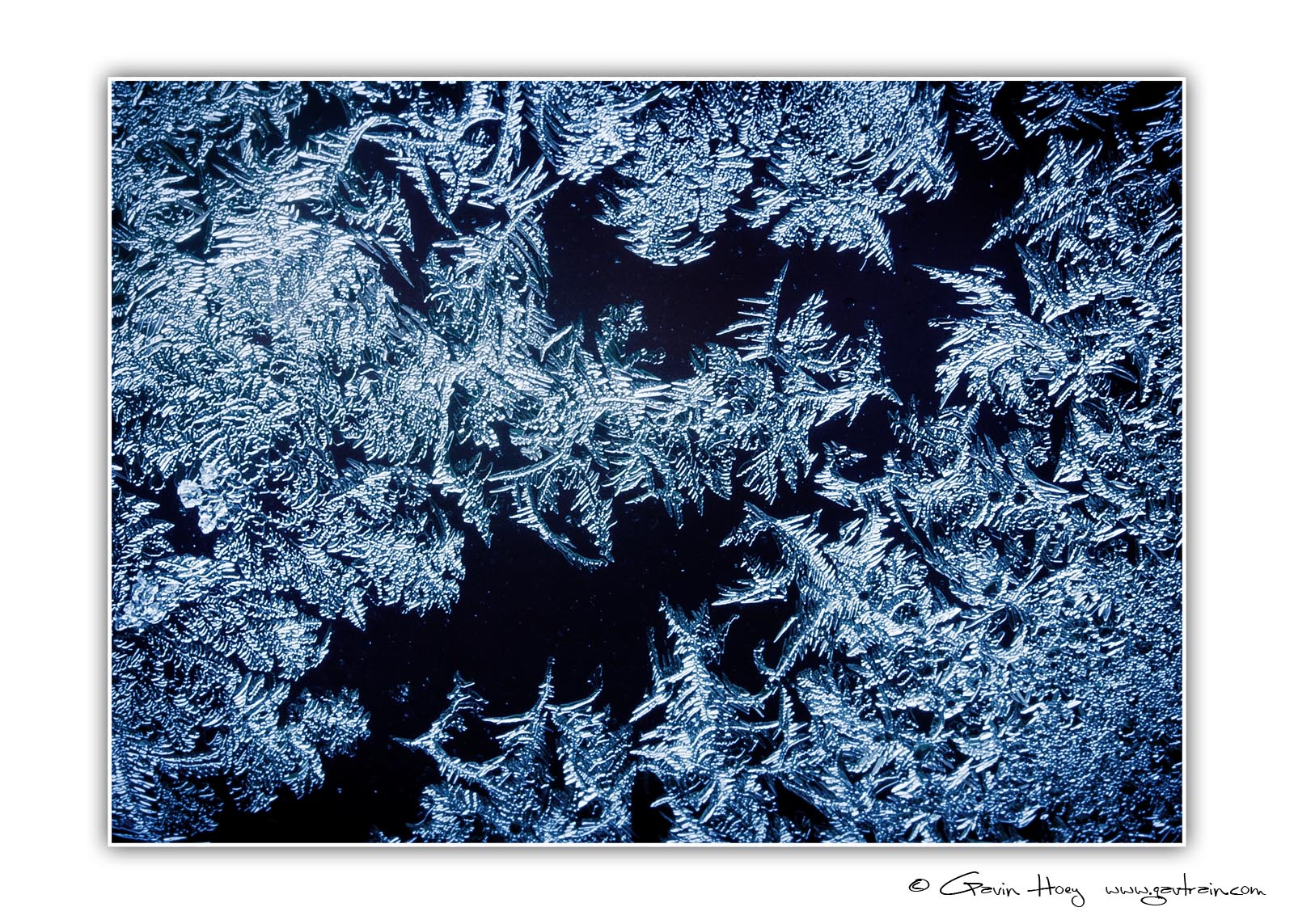 Gavtrain - Photography Training: Frost patterns on glass.