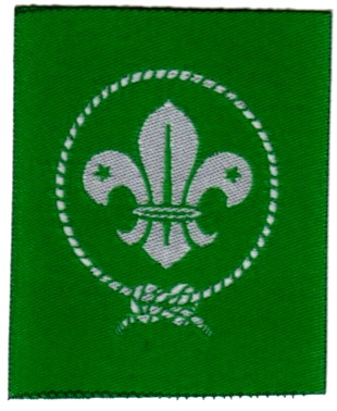 Siempre scout: Tropa