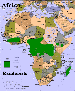 Tropical Rainforest Articles: Cleaning The Atmosphere Of Carbon ...