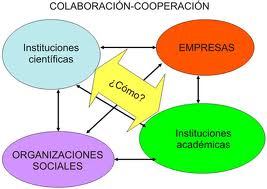 Teoria General de Sistemas: CICLO DE CONSTRUCCION DE REDES DE TRABAJO