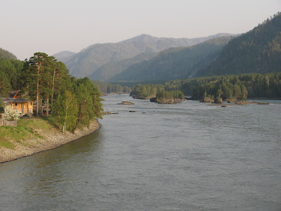 Discover Russia through its endangered animal species: Alpinism in ...