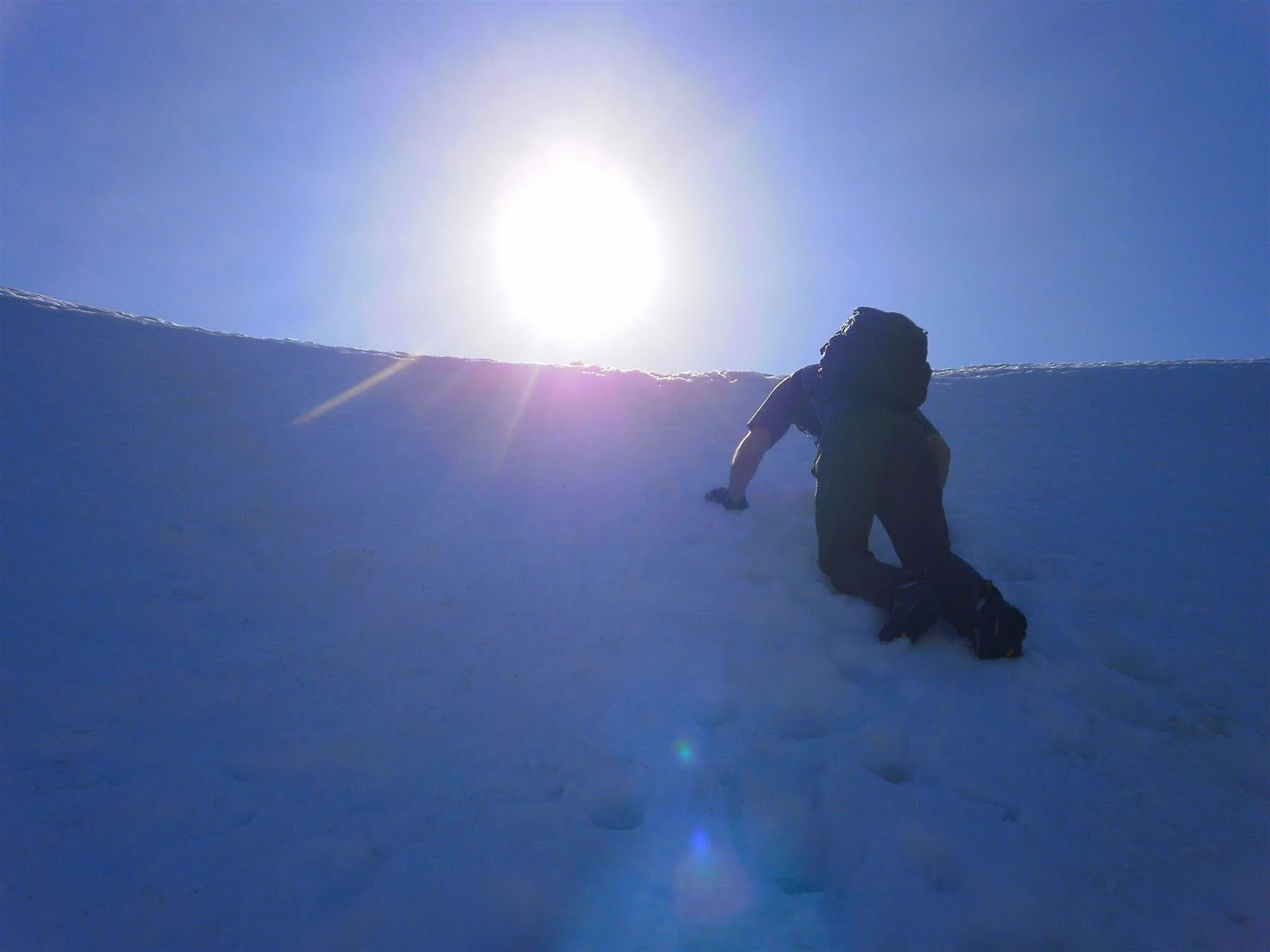 Walk Report - Curved Ridge, Buachaille Etive Mor • Walkhighlands