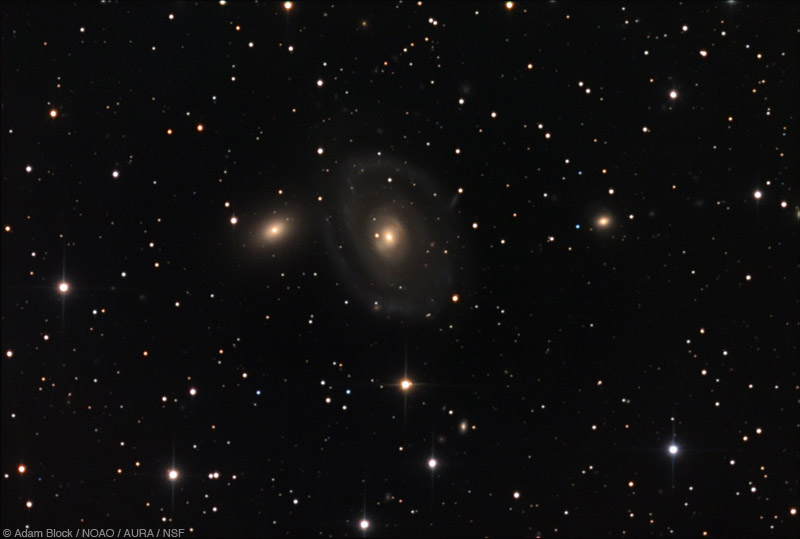 A.A.Cygnus: CUADERNO DE OBSERVACION . Un Paseo por Acuario de la mano ...