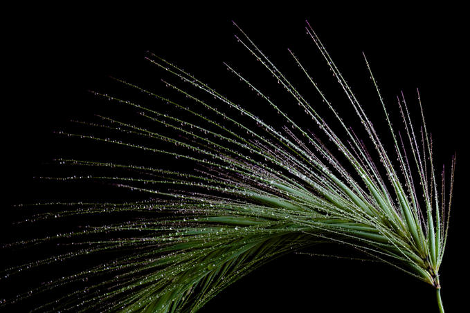 my best photo selection: Line in Nature