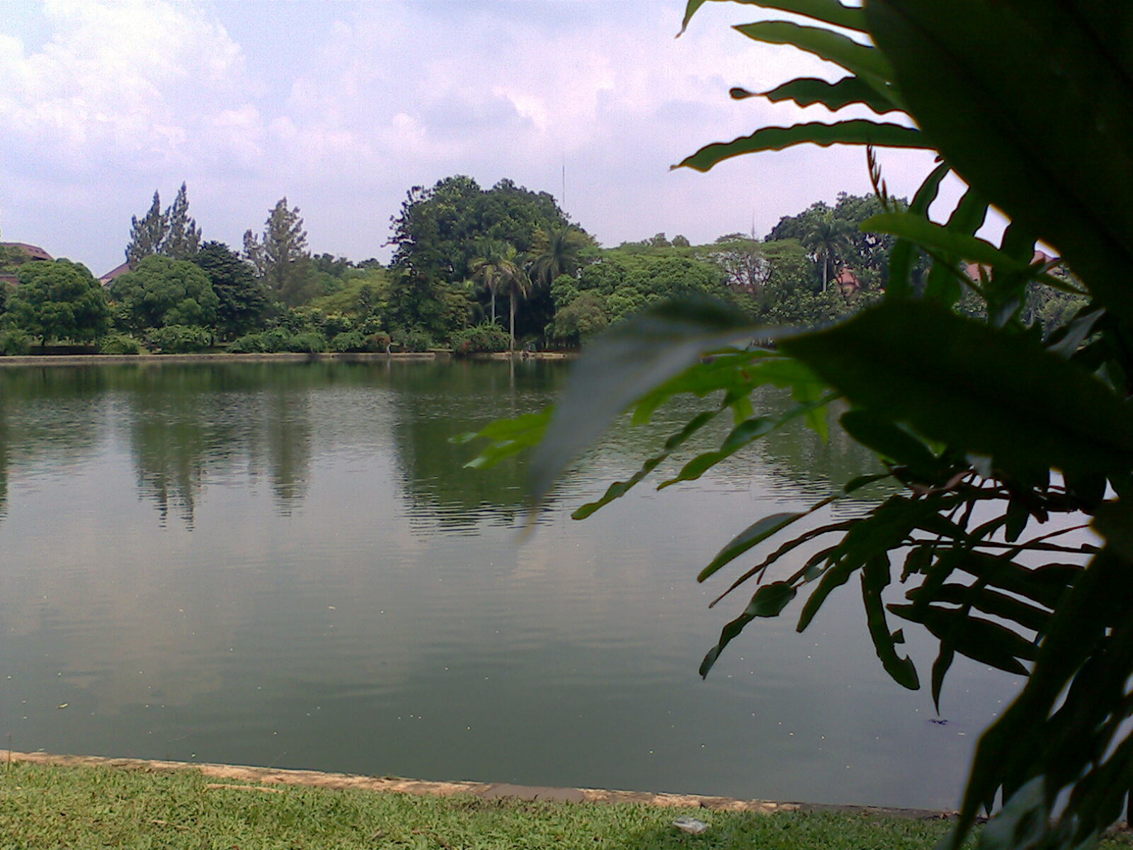 Kampus Kita Tercinta: Danau UI, Kenikmatan Di Tepi Danau