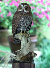 Trinos de Aves en Vuelo: Conmemoracion del Natalicio de Elpidio Collazo ...