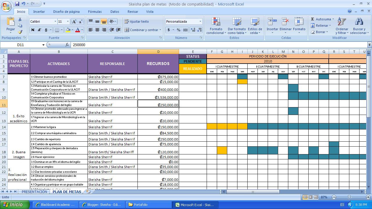 Skeisha: Plan de Metas
