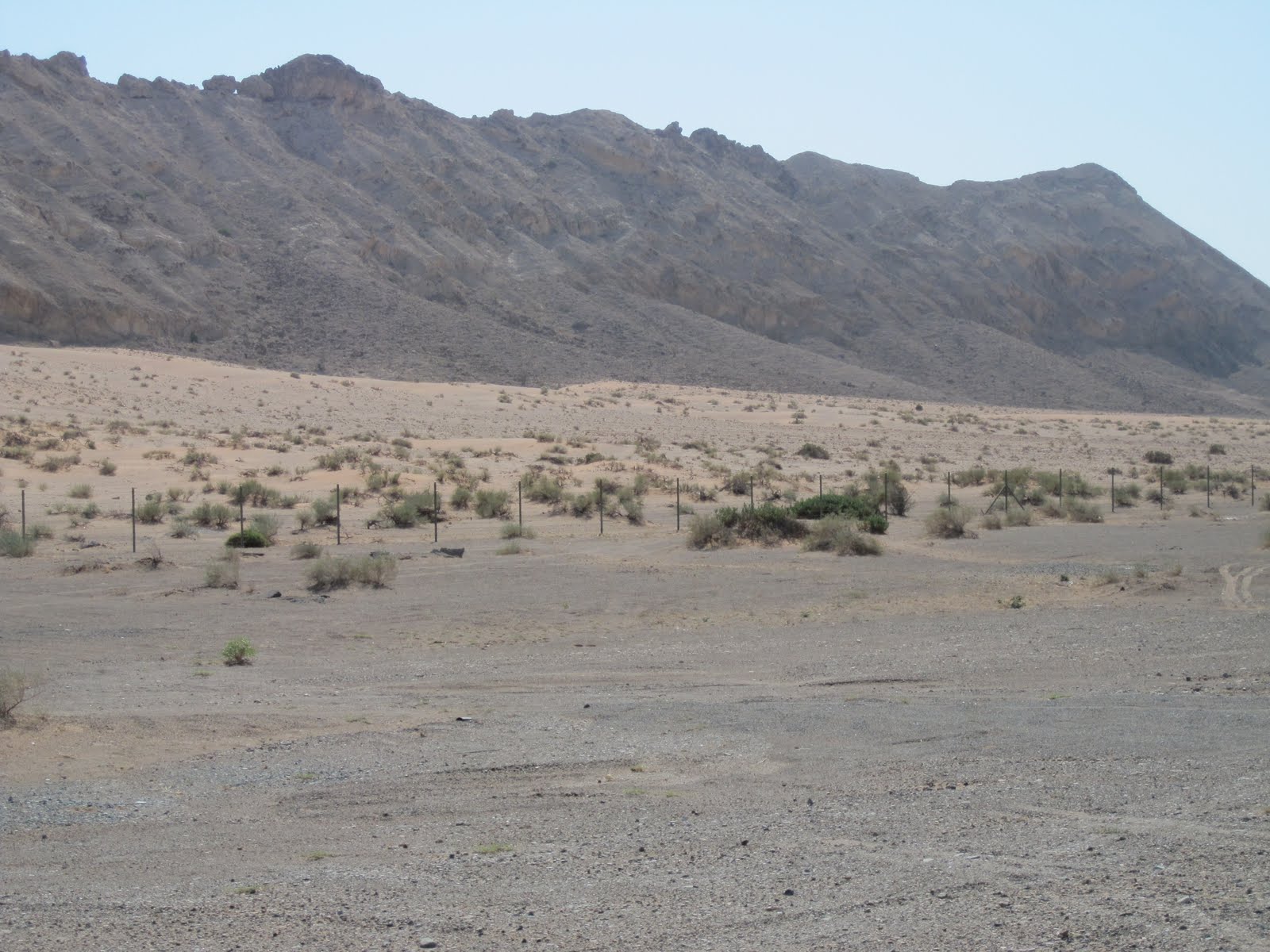 SATSUKA: IN THE MOUNTAINS AROUND MASAFI [Fujairah Emirate]