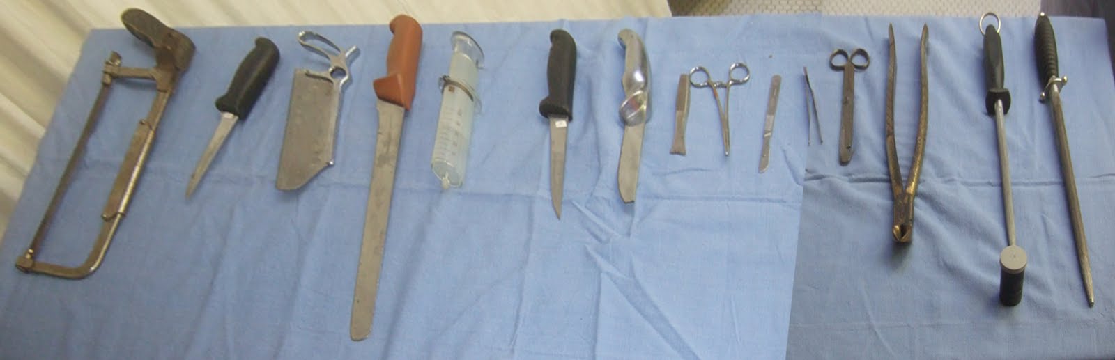 The 654: 654 Field Trip: Forensic Pathology Workshop at the Vancouver ...