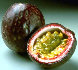 Markisa (passion fruit), sejarah serta manfaat Kesehatan & Gizi