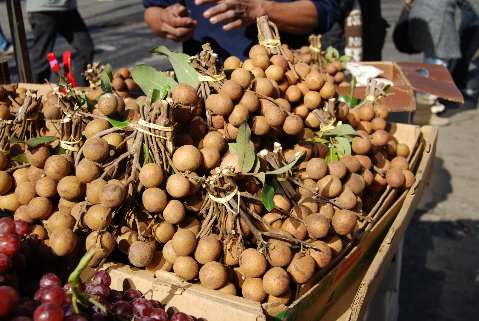 Kandungan Gizi Buah Lengkeng mentah dan dikeringkan