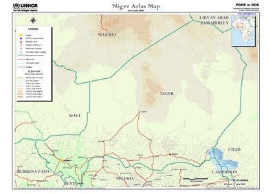 Online Maps: Niger physical map