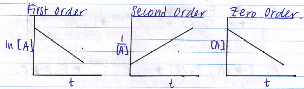 orders of reaction graphs