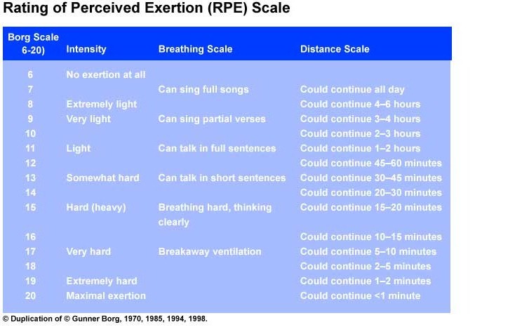 Slim Run Play: Speed up or Slow down? The Borg Scale of Percieved Exertion