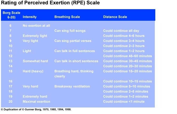 Slim Run Play: Speed up or Slow down? The Borg Scale of Percieved Exertion