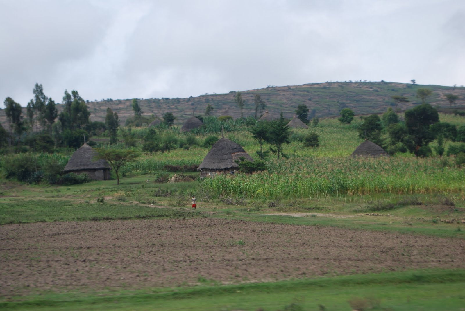 Vive...rie...ama: Day 1: On our way to the Omo Valley!
