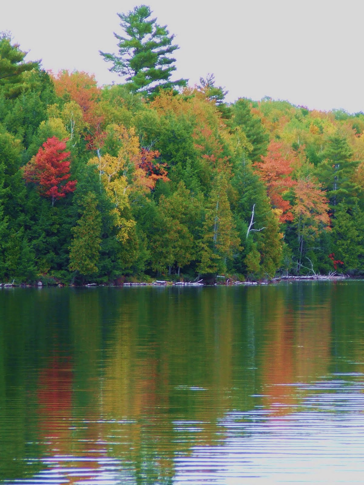 Ontario's Outdoor Activities: Bottle Lake Part 2