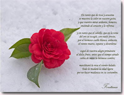 Poemas en el recuerdo... Por Fontana: Soneto XXIII
